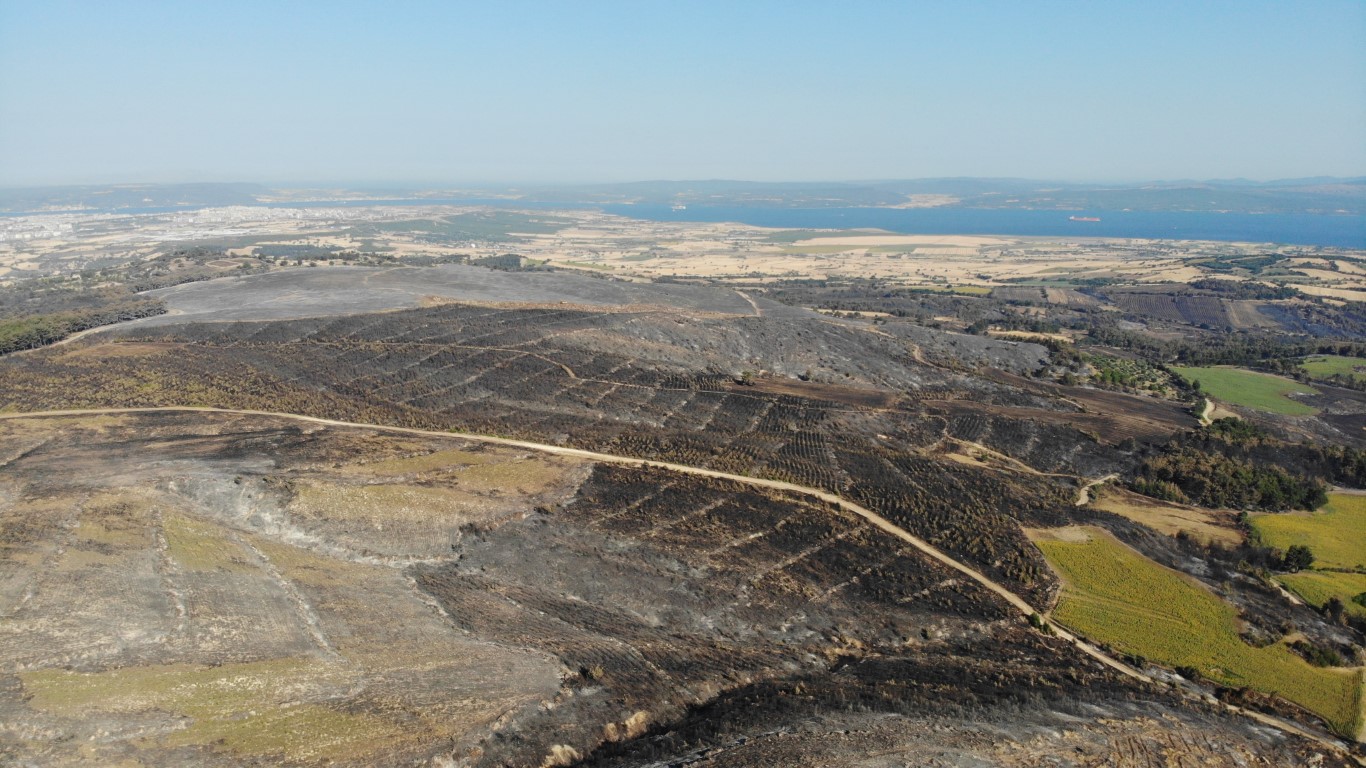 Çanakkale’deki 3 büyük orman yangınında 10 bin 612 futbol sahası ...