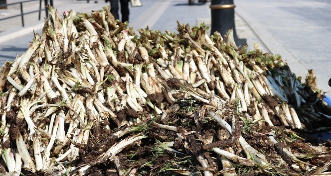 Kenger bitkisi tezgahlarda yerini aldı İhlas Haber Ajansı