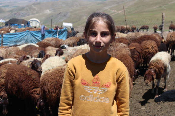Zorlu yayla hayatı minik Zehra’nın eğitim aşkına engel olmuyor - İhlas ...