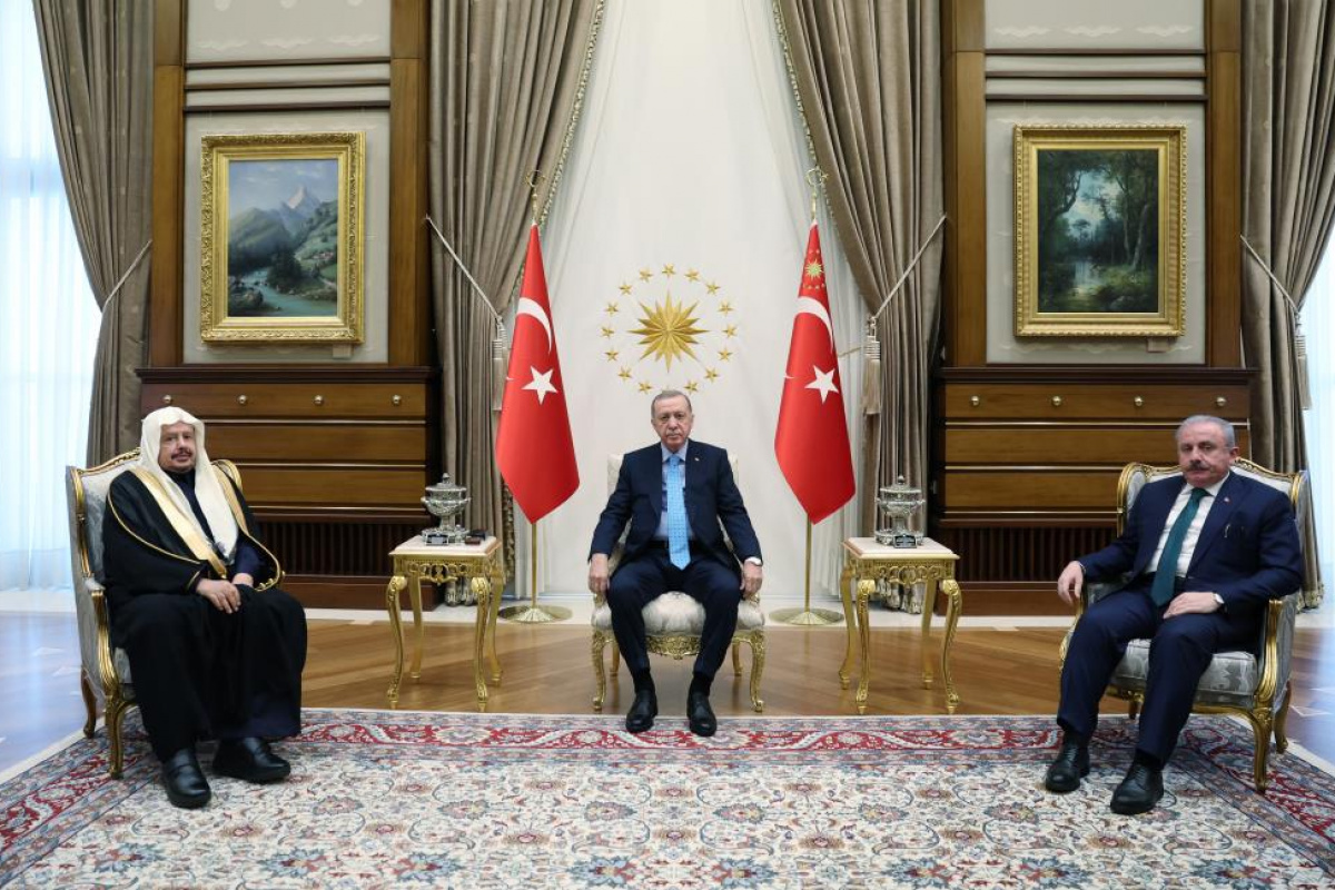 Cumhurbaşkanı Erdoğan, Abdullah Muhammed İbrahim Al-Sheikh'i kabul etti ...