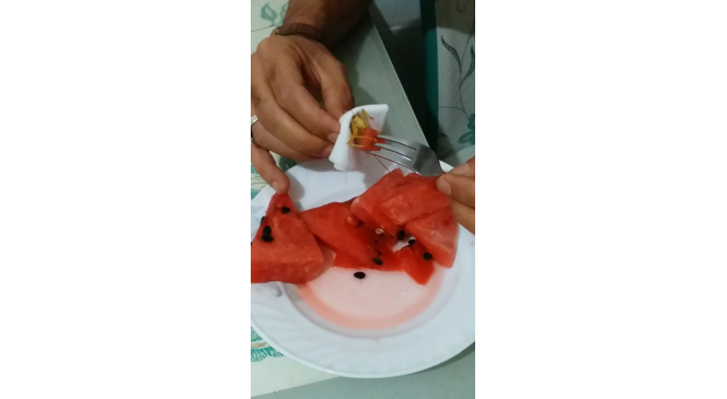 Dev çekirgeye karpuz yedirdi İhlas Haber Ajansı