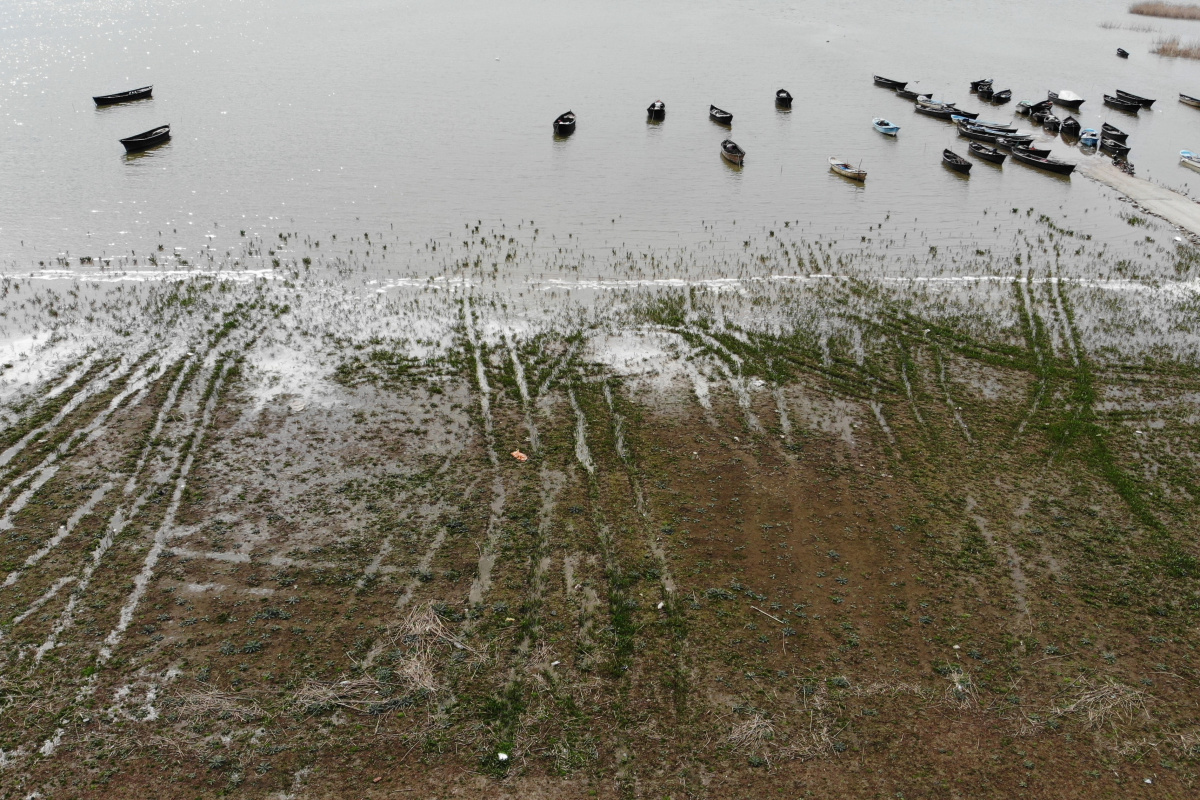 Balıkesir Manyas Kuşgölü'nü kuraklık vurdu İhlas Haber Ajansı