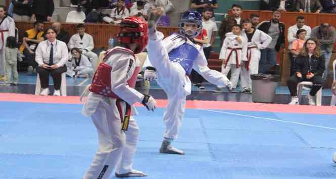 Tekvando Yıldızlar Grup yarışmaları Ordu’da başladı İhlas Haber Ajansı